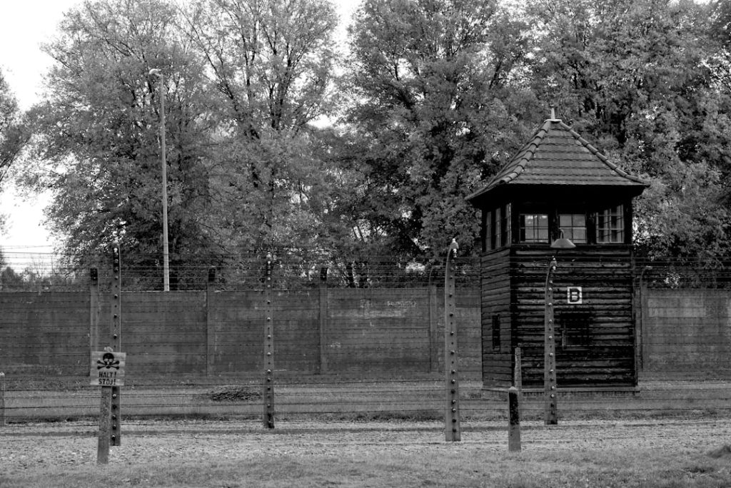 California Dream Turns to Nightmare: Two Young Lives Lost in Tragic ...