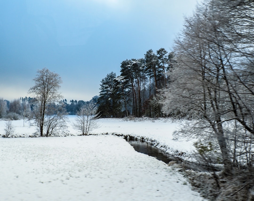 America's Deep Freeze: A Winter Storm's Devastating Impact - camfyre